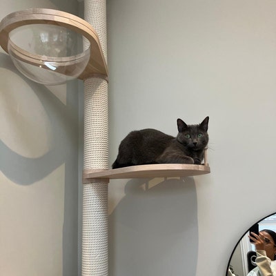 Floor to Ceiling Cat Tree, Wood Cat Tree, Tall Cat Tree, Cat Scratching ...