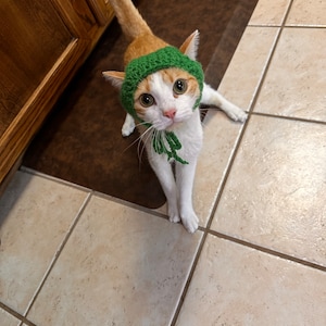 Apple Hat for Cats - Etsy