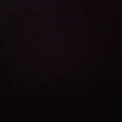 20pcs Hosta Plantaginea Fragrant Plantain Seeds Fire and Ice Shade Pink ...