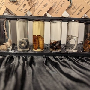 Mixed Mystery Lot Wet Specimens Insect, Mammal, Bird, Aquatic. 1, 2, 3 ...