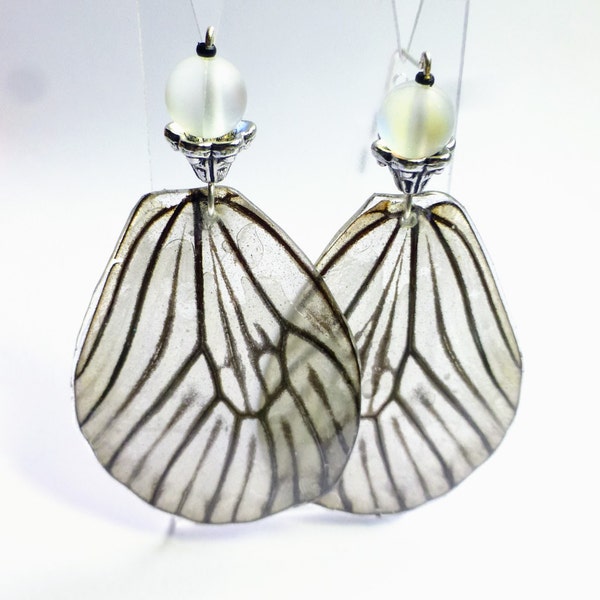 25, 50, 100 A Grade Real Butterfly Wings, Wings for Crafts, Laminated ...