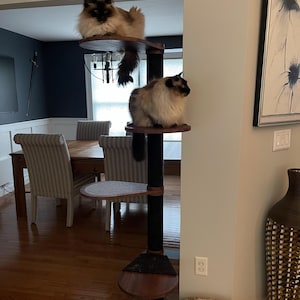 Floor to Ceiling Cat Tree, Adjustable Height Cat Tree, Cat Climbing ...