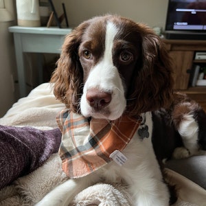 Fall Dog Bandana, Plaid, Harvest Plaid, Fall Plaid, Autumn Dog Bandana ...