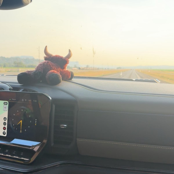 Plush Highland Cow/yak, Bull Stuffed Animal, so Cute, Flopsy Syle, Hard ...