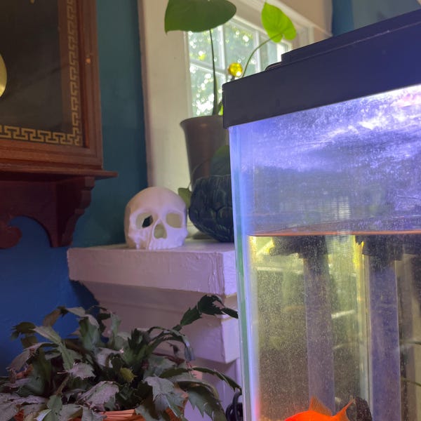 Reptile Repti Threaded Air Vents STL File With Commercial Licensing 2 3 ...