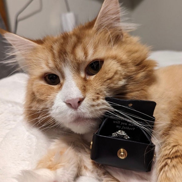 Personalised Dog Proposal Engagement Ring Pouch | Pet Proposal Idea ...