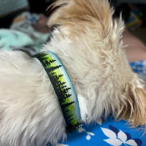 Treeline Dog Collar Trees Forest Nature Outdoors - Etsy