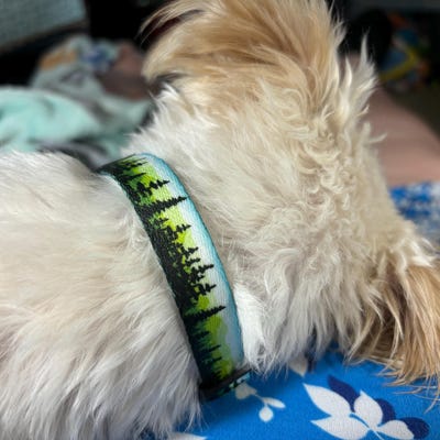 Treeline Dog Collar Trees Forest Nature Outdoors - Etsy