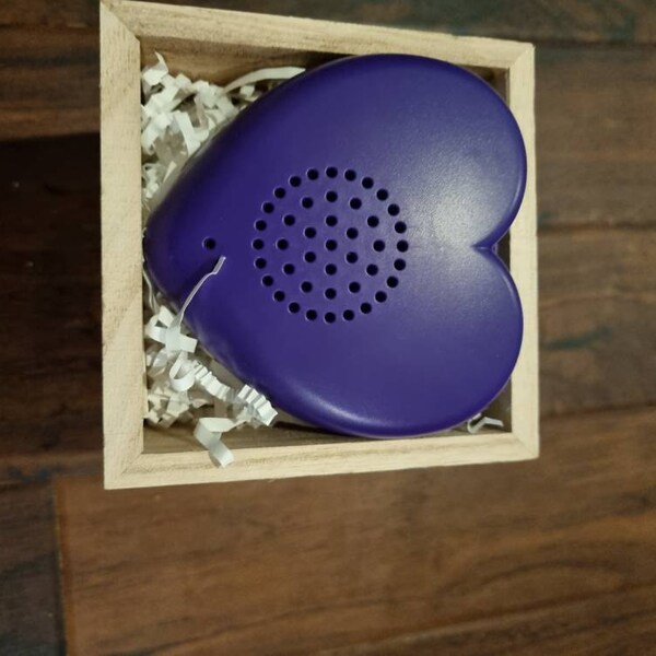 Talking Products, MP3 Sound Chip Module, 4MB Memory. Add Speech Music ...