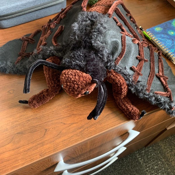 Chomp- Triceratops Skull Crochet Pattern - Etsy