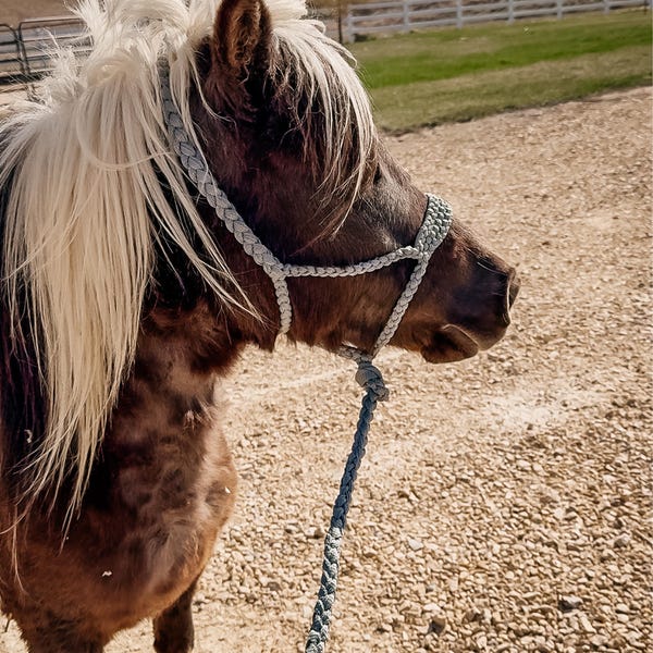 4-knot Rope Halter Only - Assorted Colors - Newborn/foal/mini/yearling/weanling/arabian/average ...