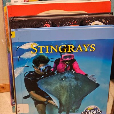 10 Pounds of Books Random Lot You Pick Genre - Etsy UK