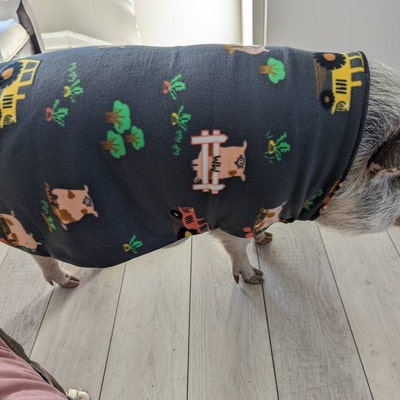 Fleece Strap Sweater Double Layer Pig Coat With Leash Hole Mini Pig ...