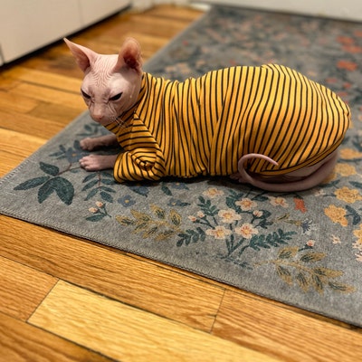 Sphynx Hairless Cats Tattooing Clothes, Kitten Pullover Sweatshirt ...