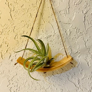 Wall Mount Diamond Planter With Saucer Geometric Wall | Etsy