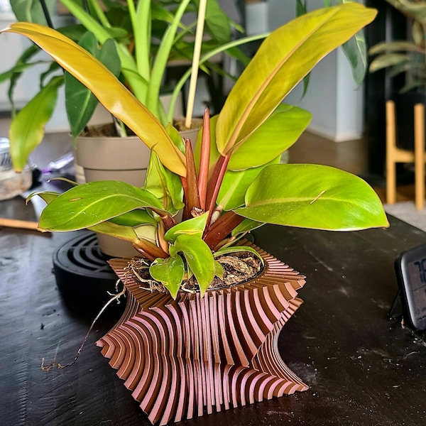 A “ANIO” 3D Custom Printed Wacky Planter Pot | Modern Home Office Decor ...