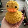 Quacken Crochet Pattern No-sew - Etsy