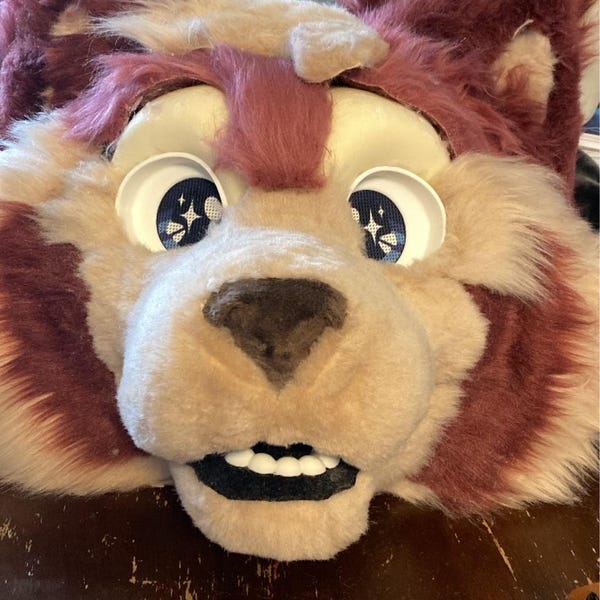 Oblong Fursuit Follow-me Eye Blanks - Etsy