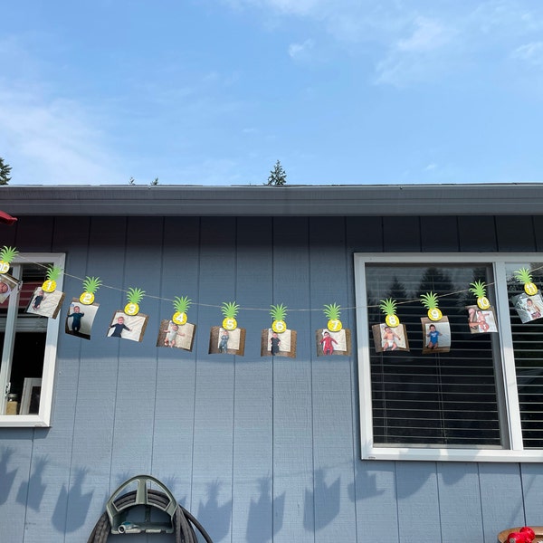 Pineapple Photo Banner BLUE- Pineapple Birthday Decorations- Pineapple ...