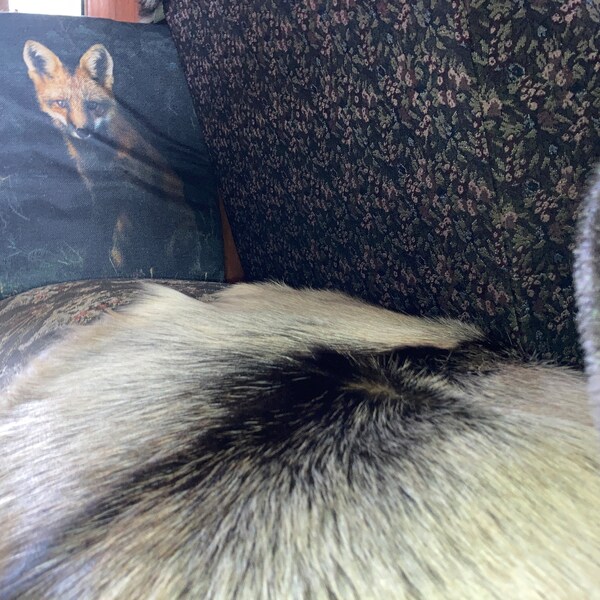 Turkish Goat Skin, Mottled Leather, Genuine Pelt, Home Decor, Home Gift ...