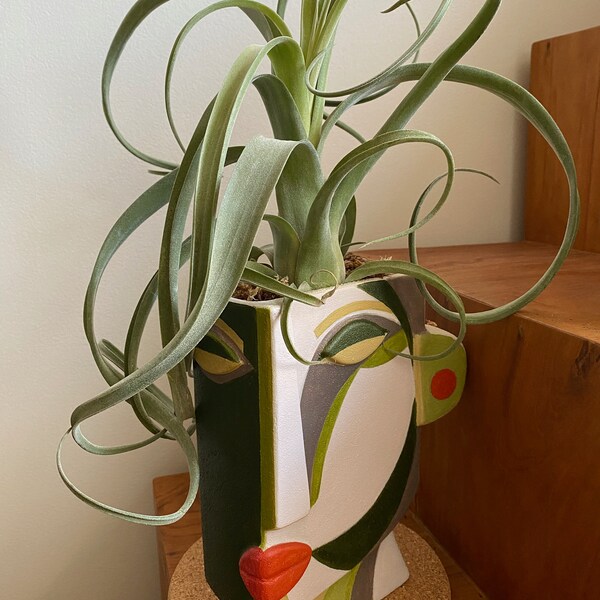 Handmade Human Face Wall Planters Creative Plant Display Face Plant ...