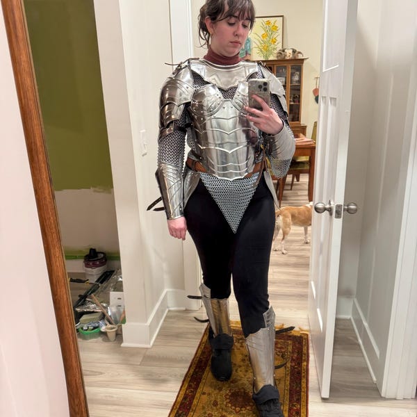 22 Inch Medieval Loin King Face Shield/battleworn Lion Shield/premium ...