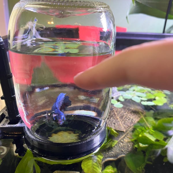 Justponics Mini Bell Siphon V3 (set of 2) - Etsy