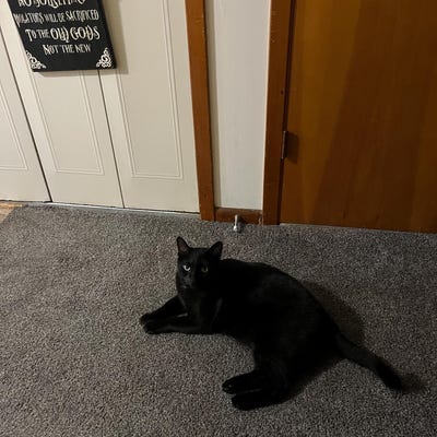 Tattoos and Whiskey Make Me Frisky Wood Sign Boho Decor Hippie Decor ...