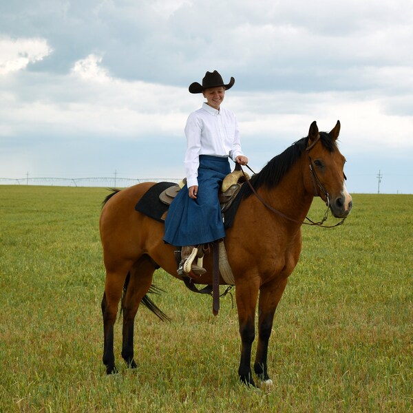 Lace Modesty Panel, Neckline Insert, Mock Camisole - Etsy