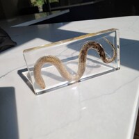 Round LED Display Base for Wet and Diaphonized Specimens - Etsy