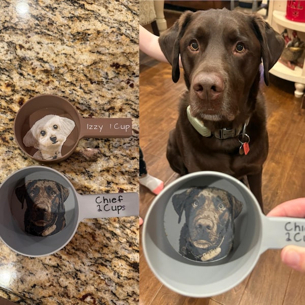 Customized 3D Printed Pet Magnet With Your Pet's Face, Pet Portrait ...