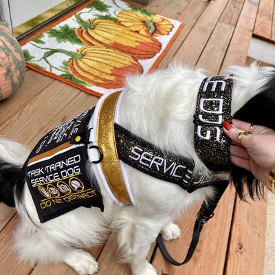 Spooky Dog Patches Dog Patches Halloween Dog Working Dog - Etsy