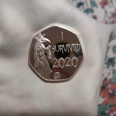 I SURVIVED 2020 .999 Silver Commemorative in Capsule. - Etsy UK