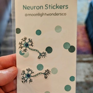You've Got Potential Cute Neuron Vinyl Sticker Neurotransmitters Water ...