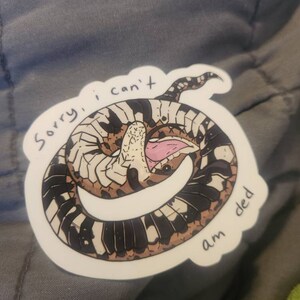 Hognose Snake Dramatic Playing Dead Funny Reptile Vinyl Sticker - Etsy