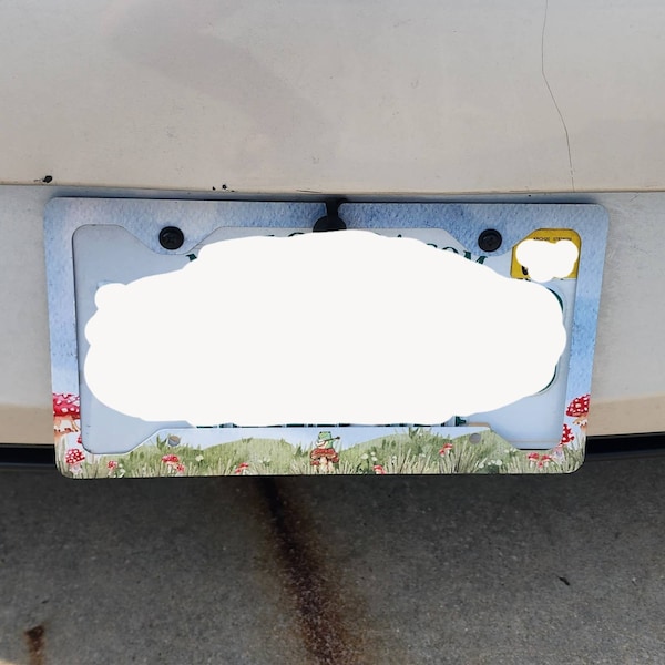 Cool Punk Checkered Skull License Plate Unique Car Accessories for Him ...