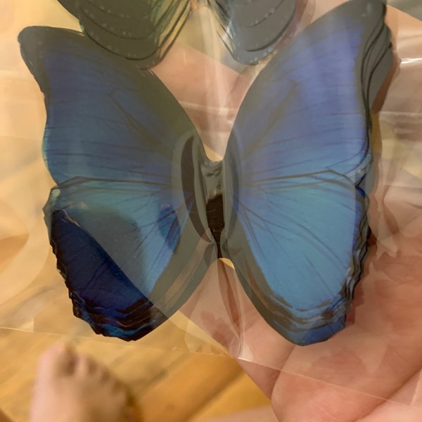 Blue Rainbow Decorative Butterflies - 3D Plastic Butterflies - Ombre ...