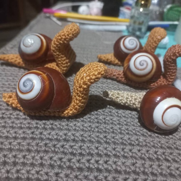 5 Mini Abalone Shells #haliotis Clathrata# Iridescent Shell Opal of the ...