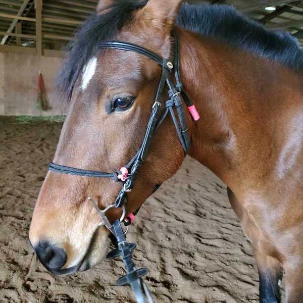 Bitless Sidepull Horse Halter Tack: Sliding Ring Rope Hackamore, Custom ...