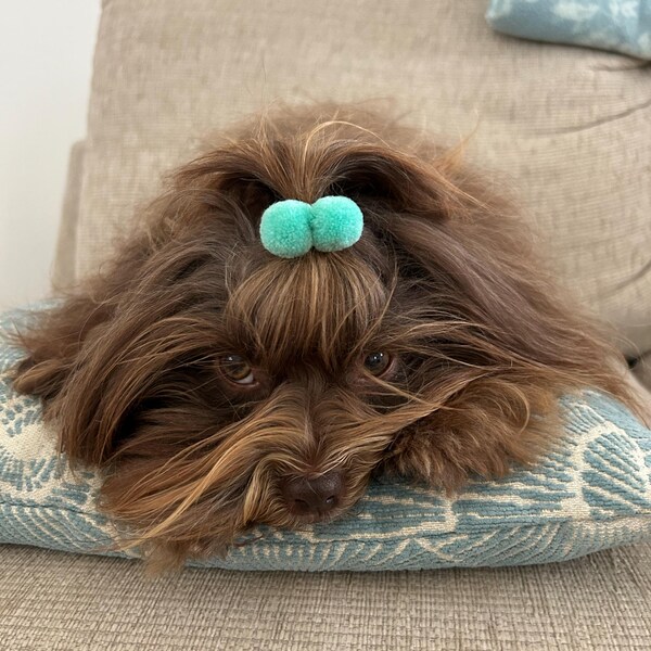 Box of 100 Mini Hair Bobbles - Etsy