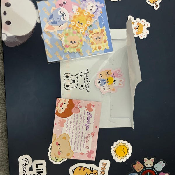 Stray Kids SZKOO Sticker Flakes 16 Flakes & SKZOO Heart Sticker Sheet k ...