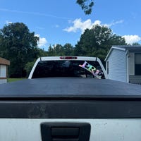 Custom Young Dolph Dolphin Decal - Etsy