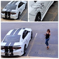 Bumble Bee Angry Bee Decal Kit for 2015-2020 Dodge Challenger Charger ...