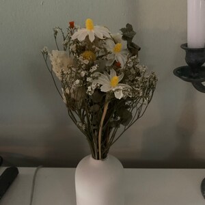 Bleaching White Protea Flower Ballspreserved Protea Stemsdry - Etsy