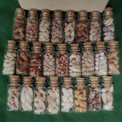 100 1ml Bitty Bottles. Empty Glass Vials. Glass Bottles. Miniature Bottles. Glass Vials With ...