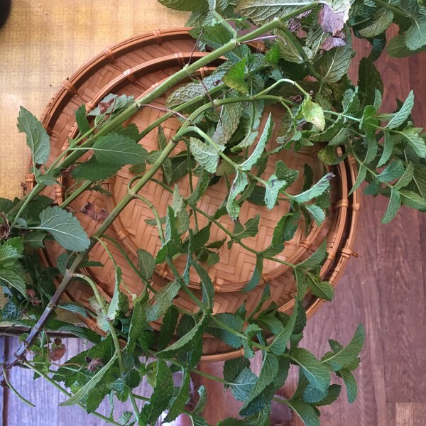 Vietnamese Army Scarf Viet Cong Scarves Khan Ran Plaid Vietnam War Army ...