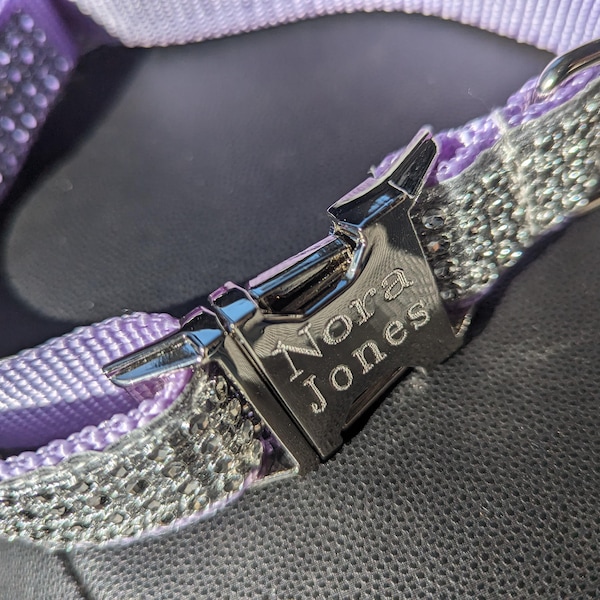 Silver, Grey Rhinestone Fancy, Glitter, Blingy Dog Leash, Platinum Dog ...
