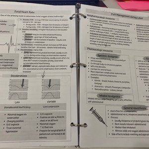Diabetes Mellitus Nursing Study Guide Digital Download - Etsy