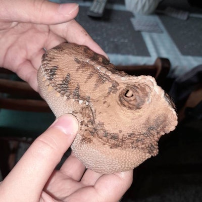 HC JP T-rex Upgrade Head by Marco Makes - Etsy