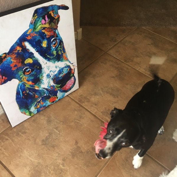 Dog Paw Prints Art Colorful PRINT From Painting Cute Rainbow Dog Pets ...